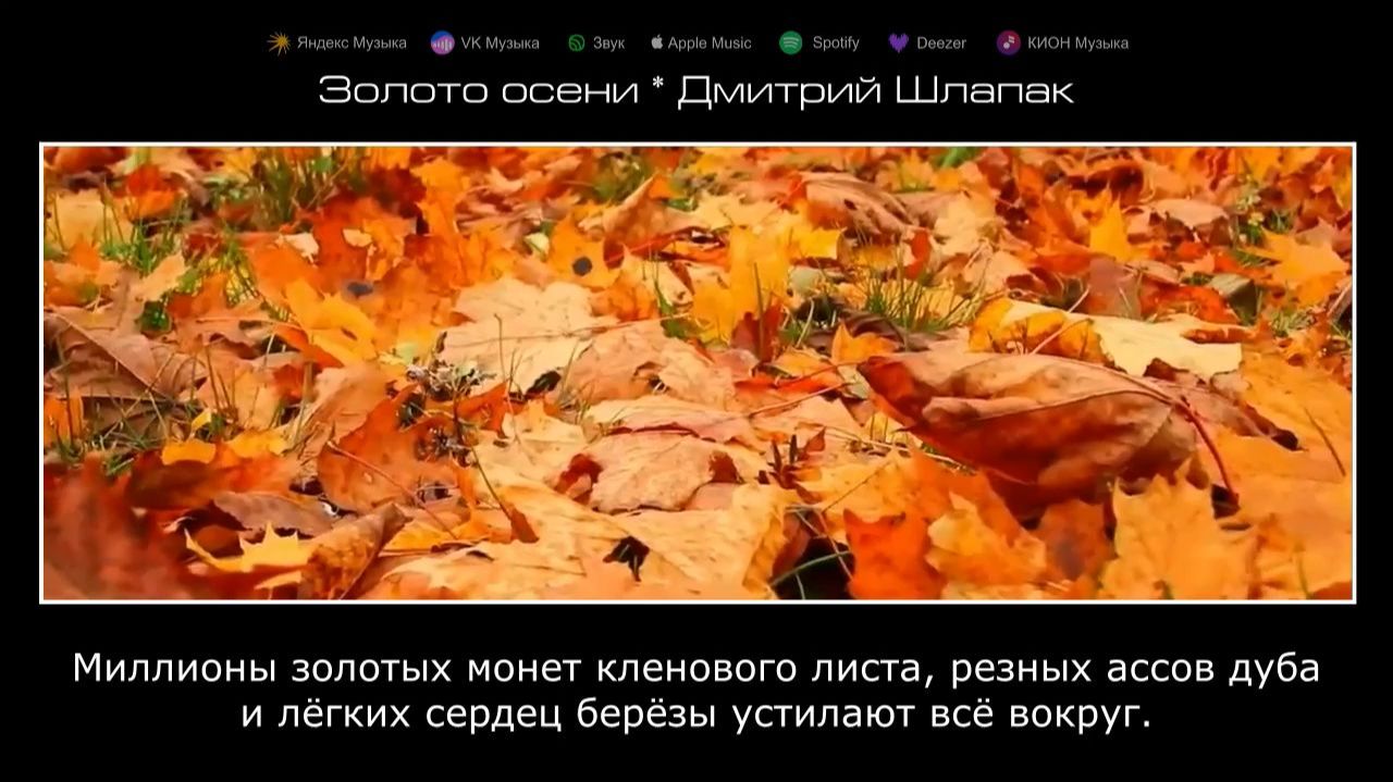 Музыка