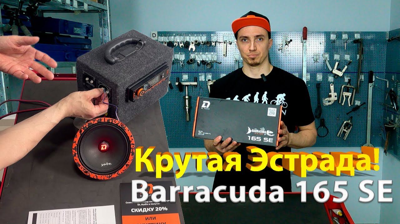 Компоненты DL audio