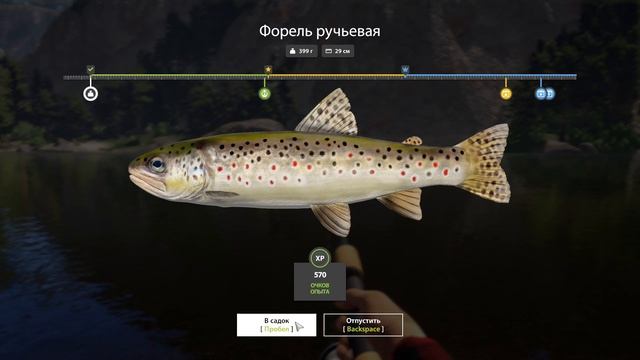 Russian Fishing 4 игра про рыбалку