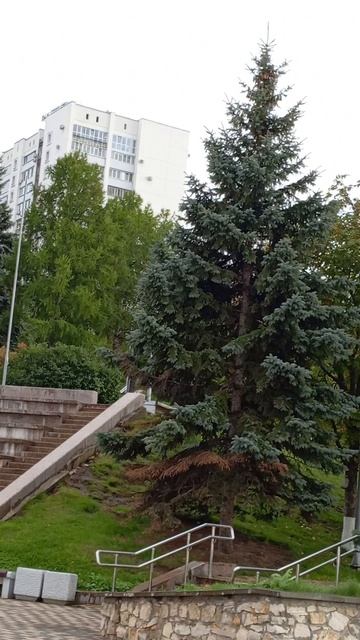 Интересные видео.