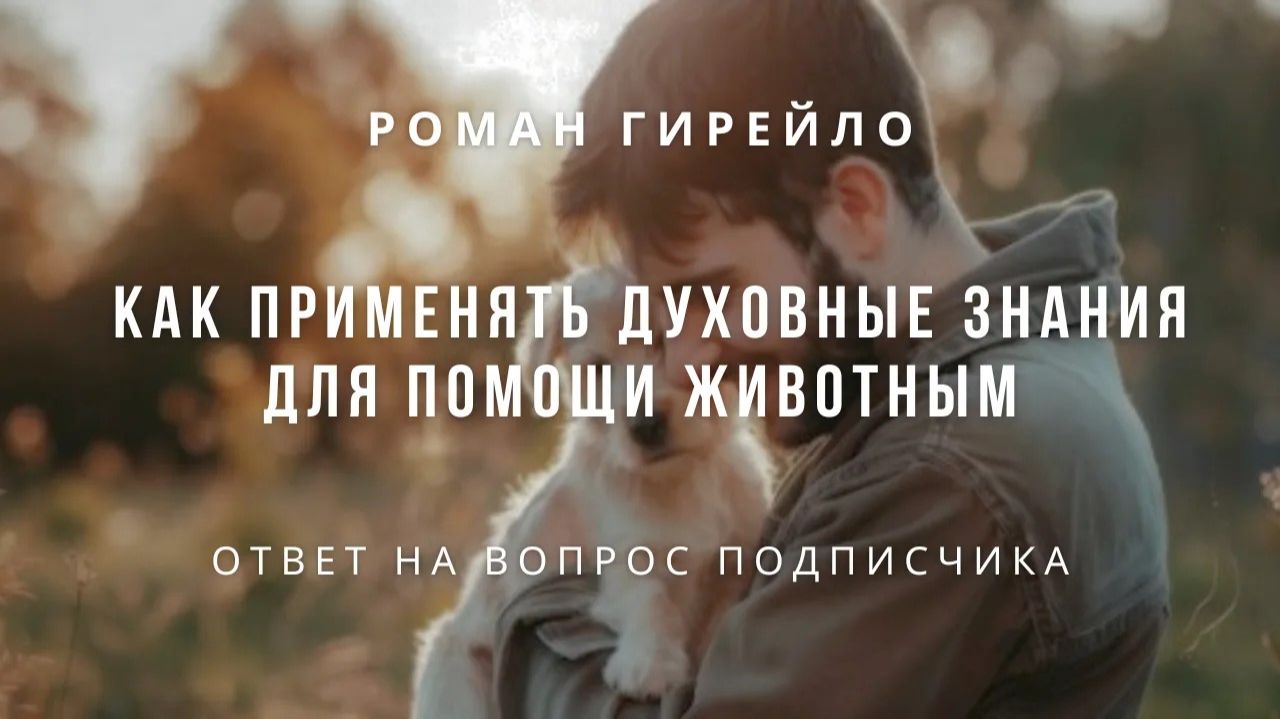 Ответы на вопросы
