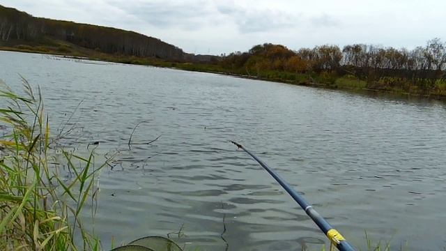 Рыбалка