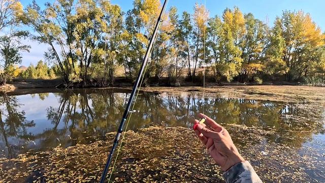 Лучшие кадры рыбалки 🎣