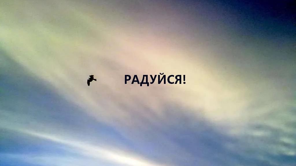 Следуй за вдохновением