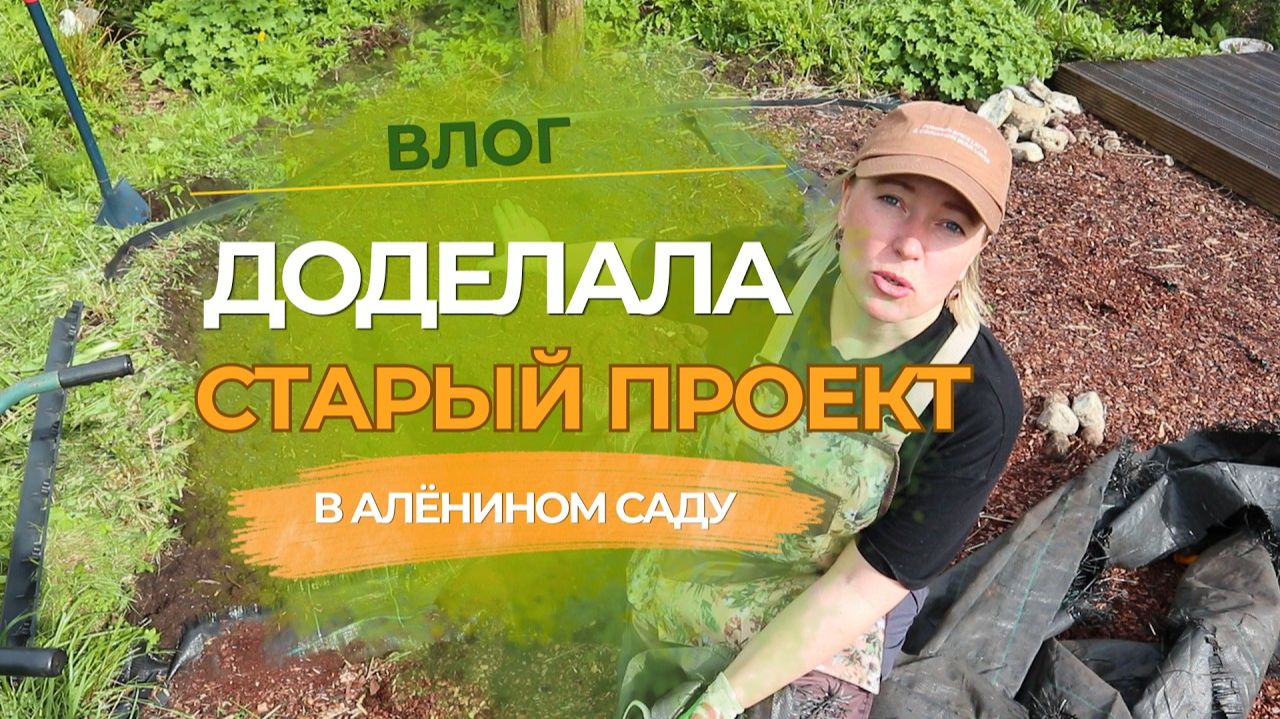 ВЛОГ