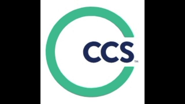 Cyber Security Specialist (ISACA CCS)