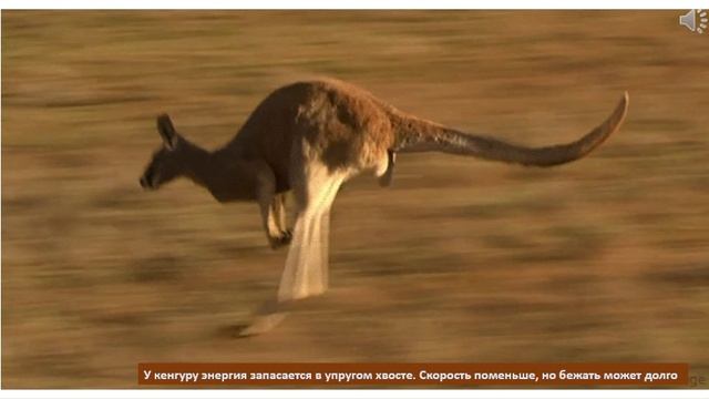 Наука и образование
