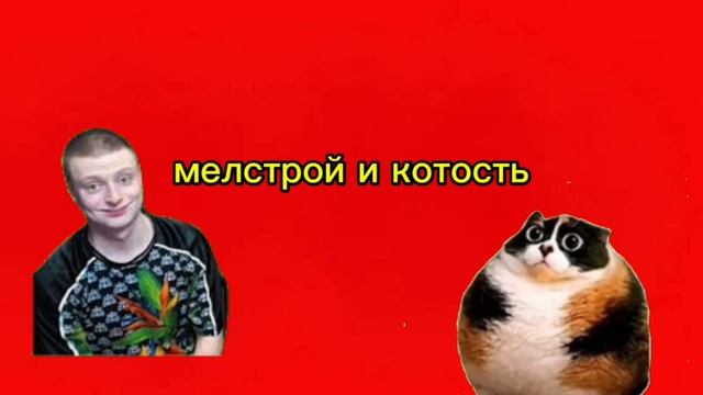 мелстрой и котость 1 сезон