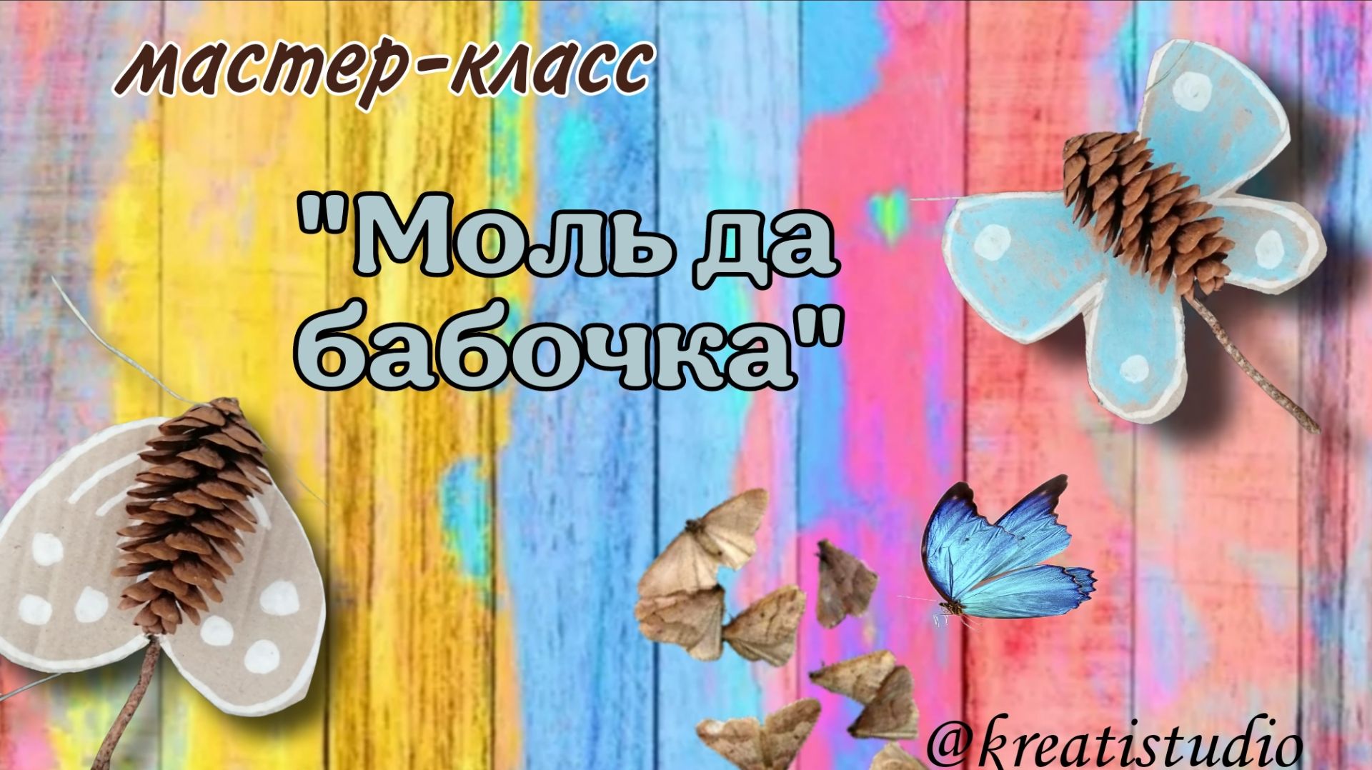 насекомые
