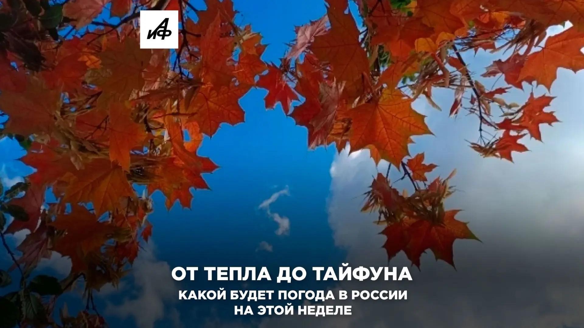 Погода