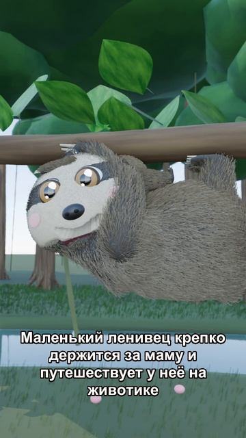 Ленивец — мультики и факты