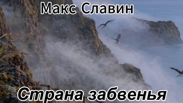 Макс Славин