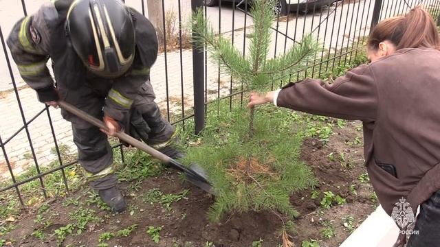 Добрые дела