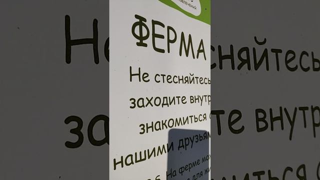 День рождения Арины