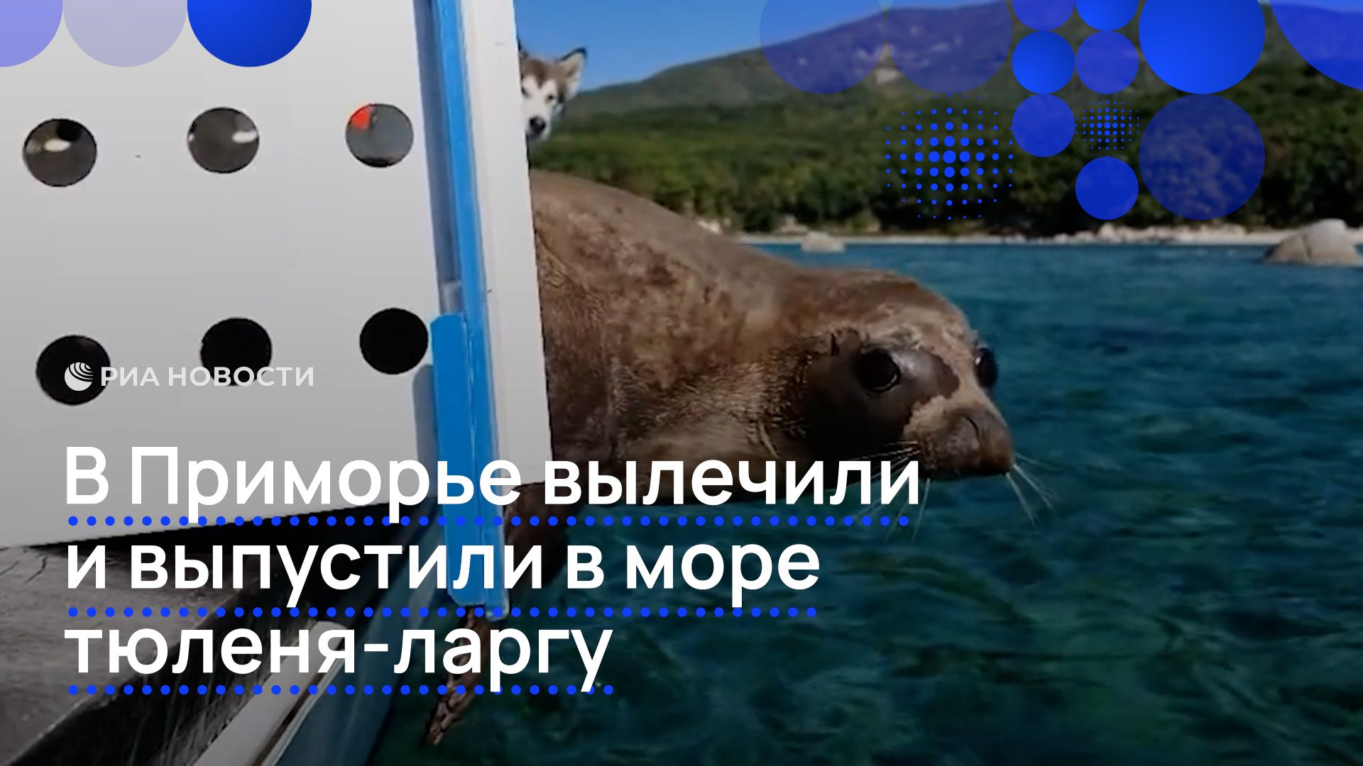 Интересное