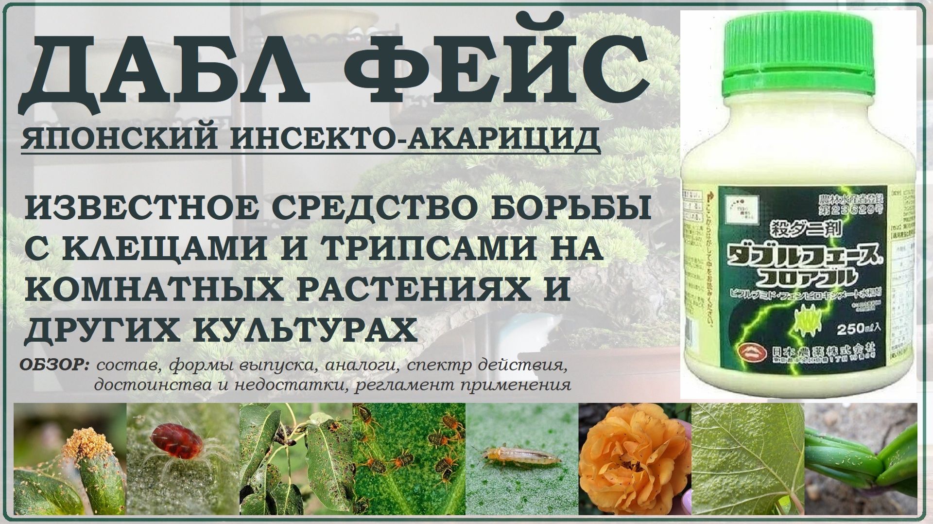 Защита растений