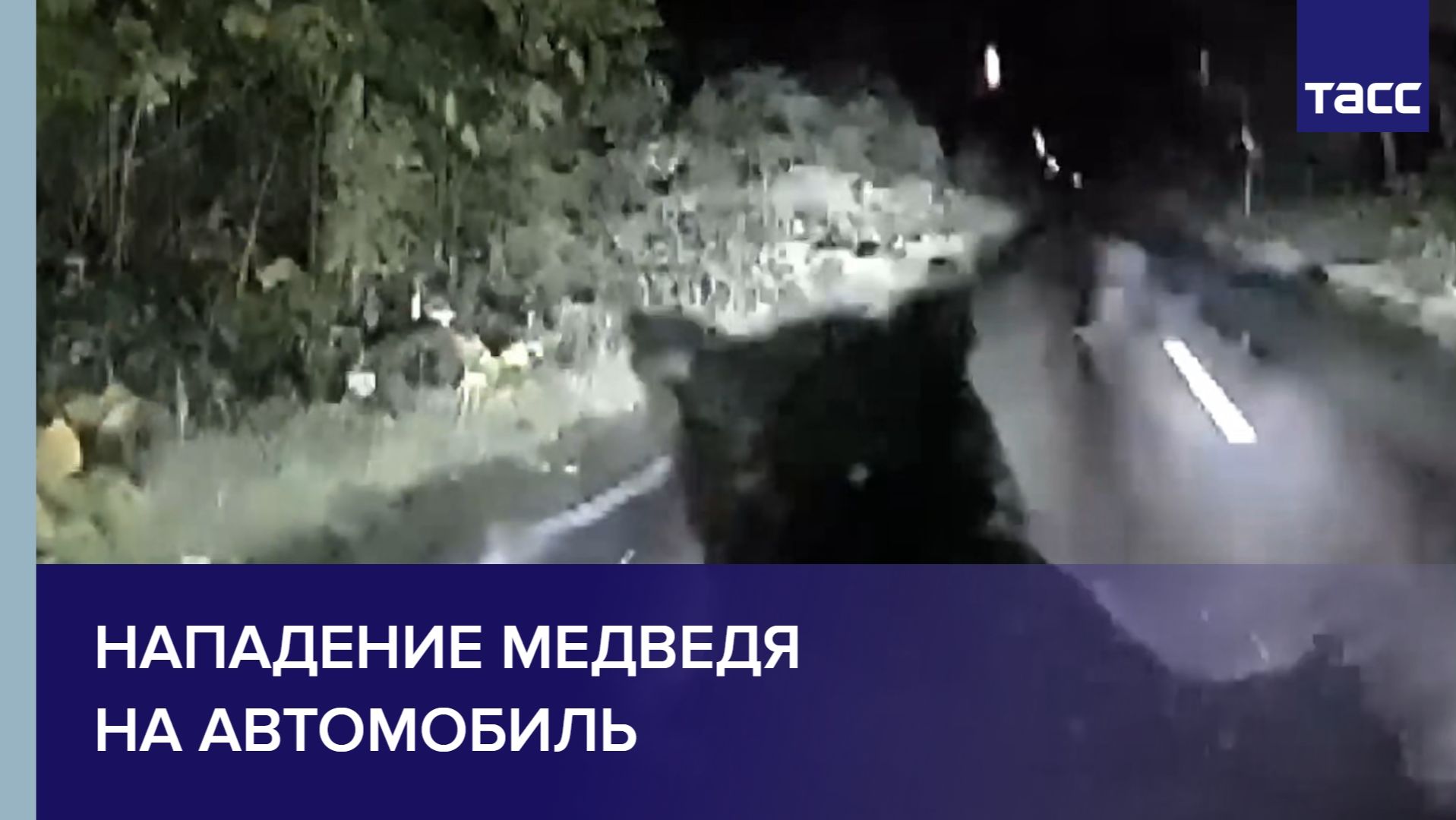 Природа и экология ТАСС