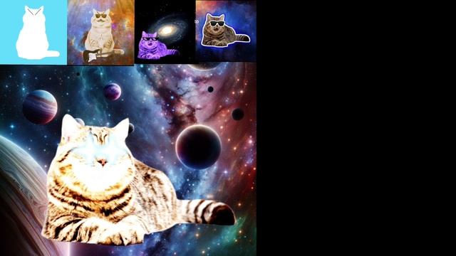 Разные Лица Котиков