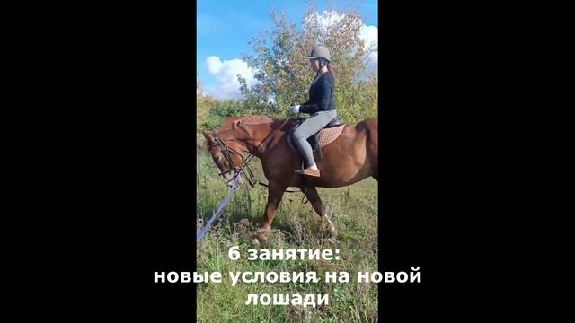 Верховая езда