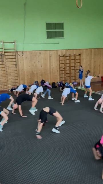 Школьный спортивный клуб
