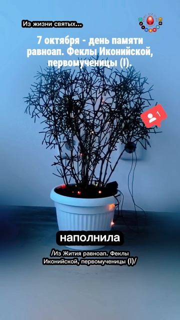 Из жизни святых...