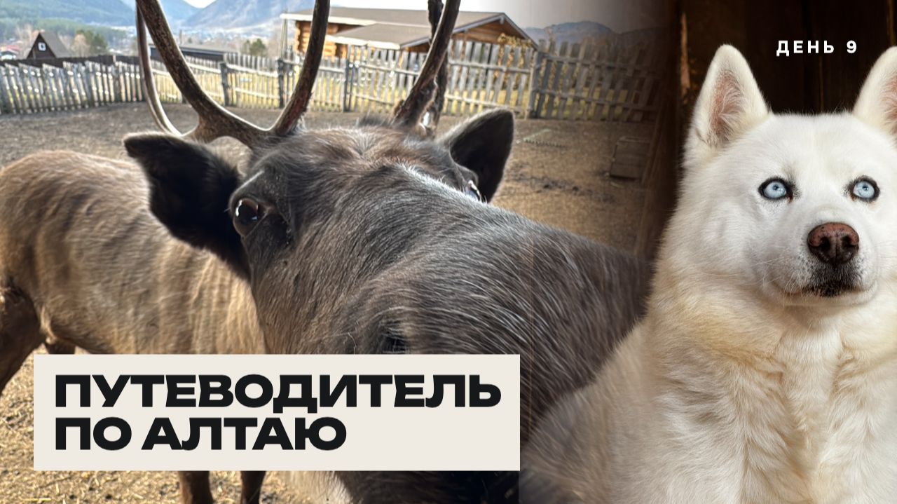 Алтай на машине
