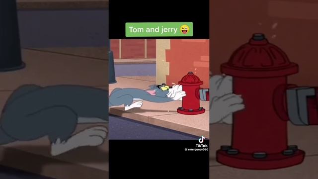 Видеоролики и shorts