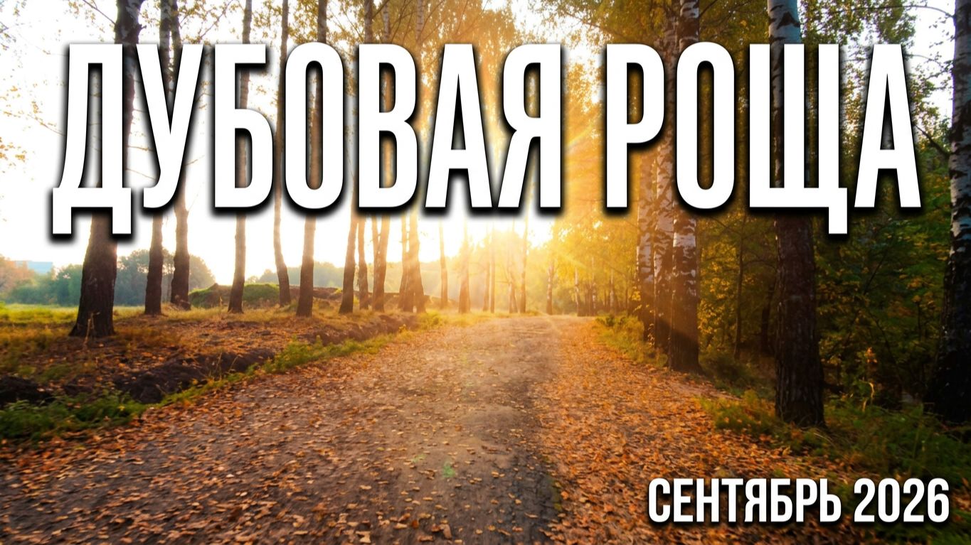 Интересные ролики про Йошкар-Ола