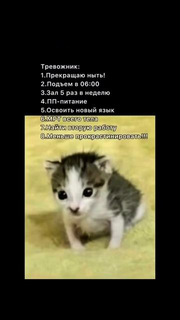 тревога