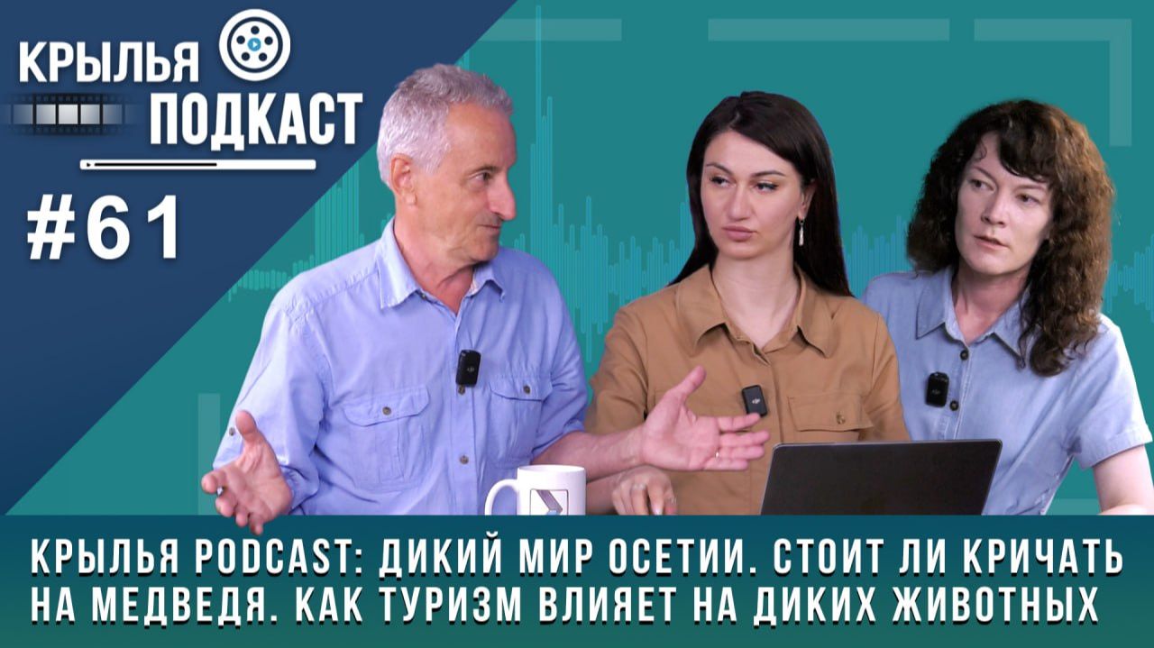 Кубок ″Дарьяла″