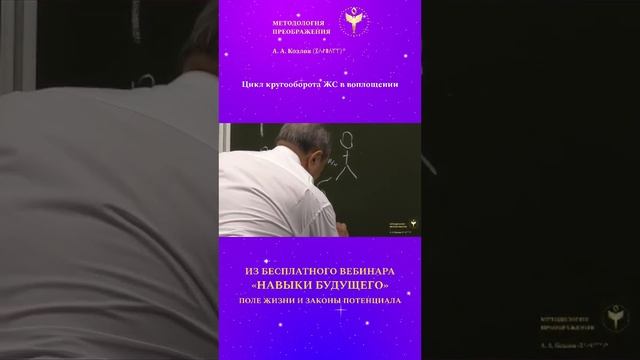 Клипы к вебинарам