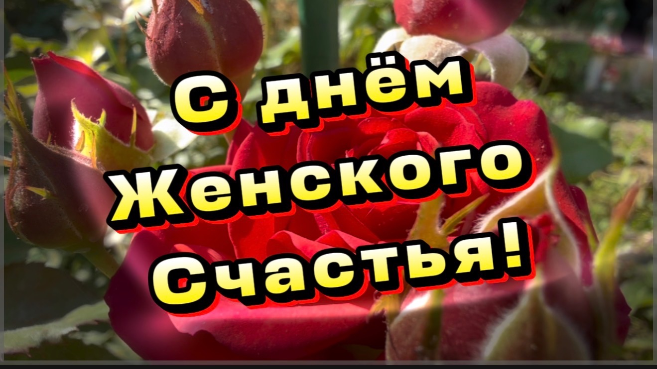 Поздравления к праздникам