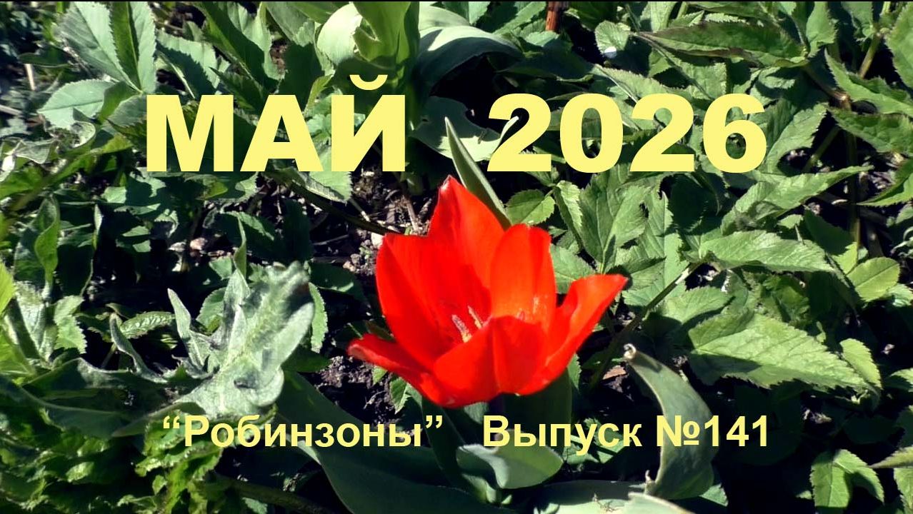 ″Робинзоны″
