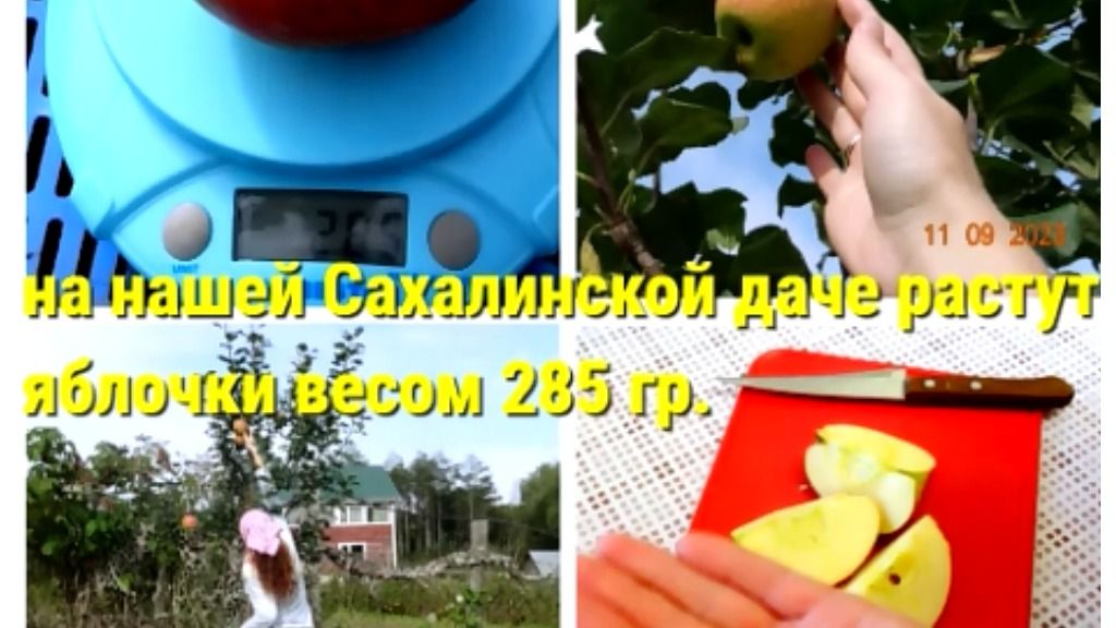 дачные дела