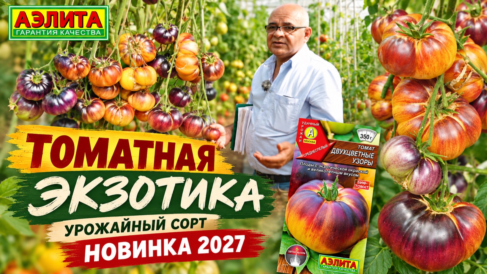 Томаты