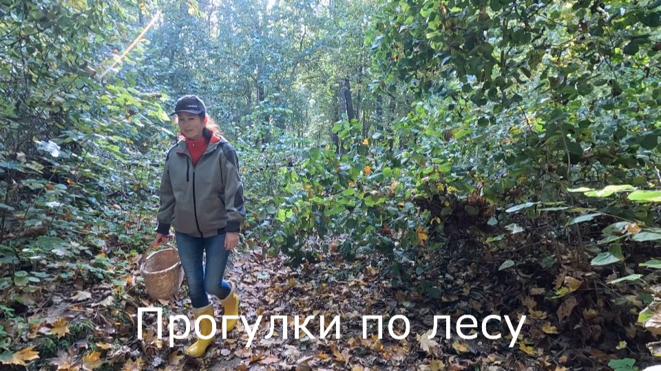 Кормушки и фотоловушки
