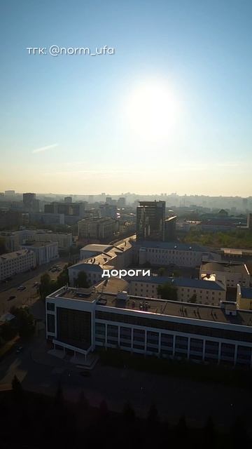 НормОбзор SHORTS