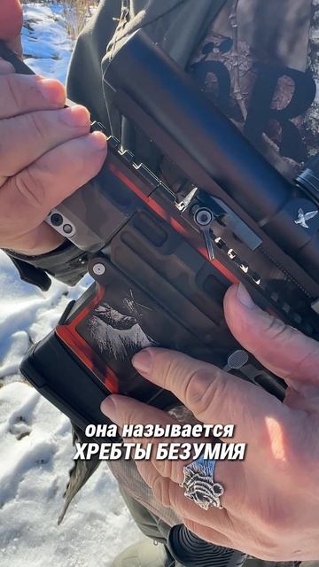 Охотничье оружие