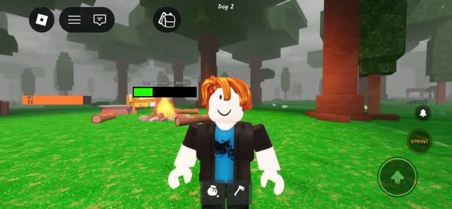 Играю в Roblox