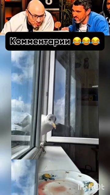 Юмор🫣😁