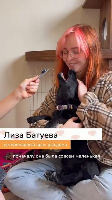 про фонд и программы