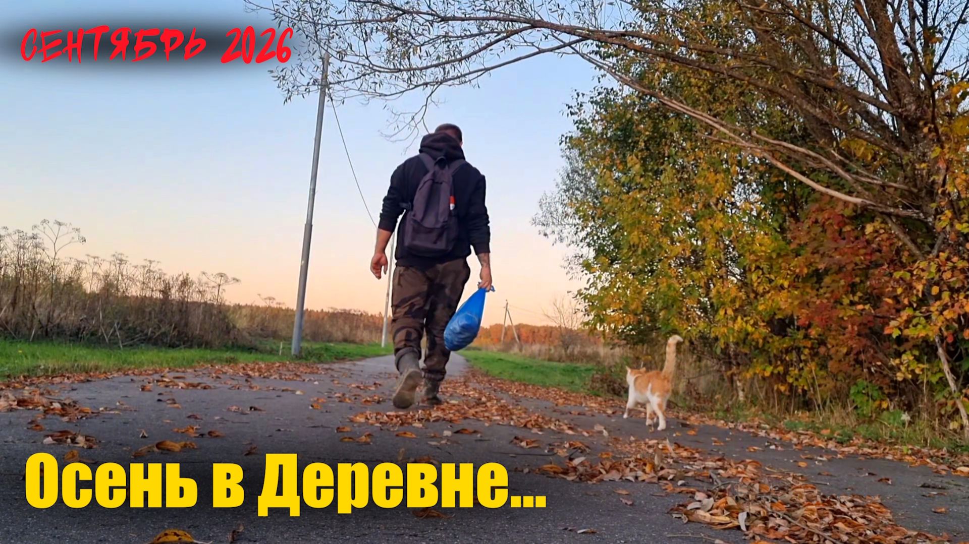 Местные 2026
