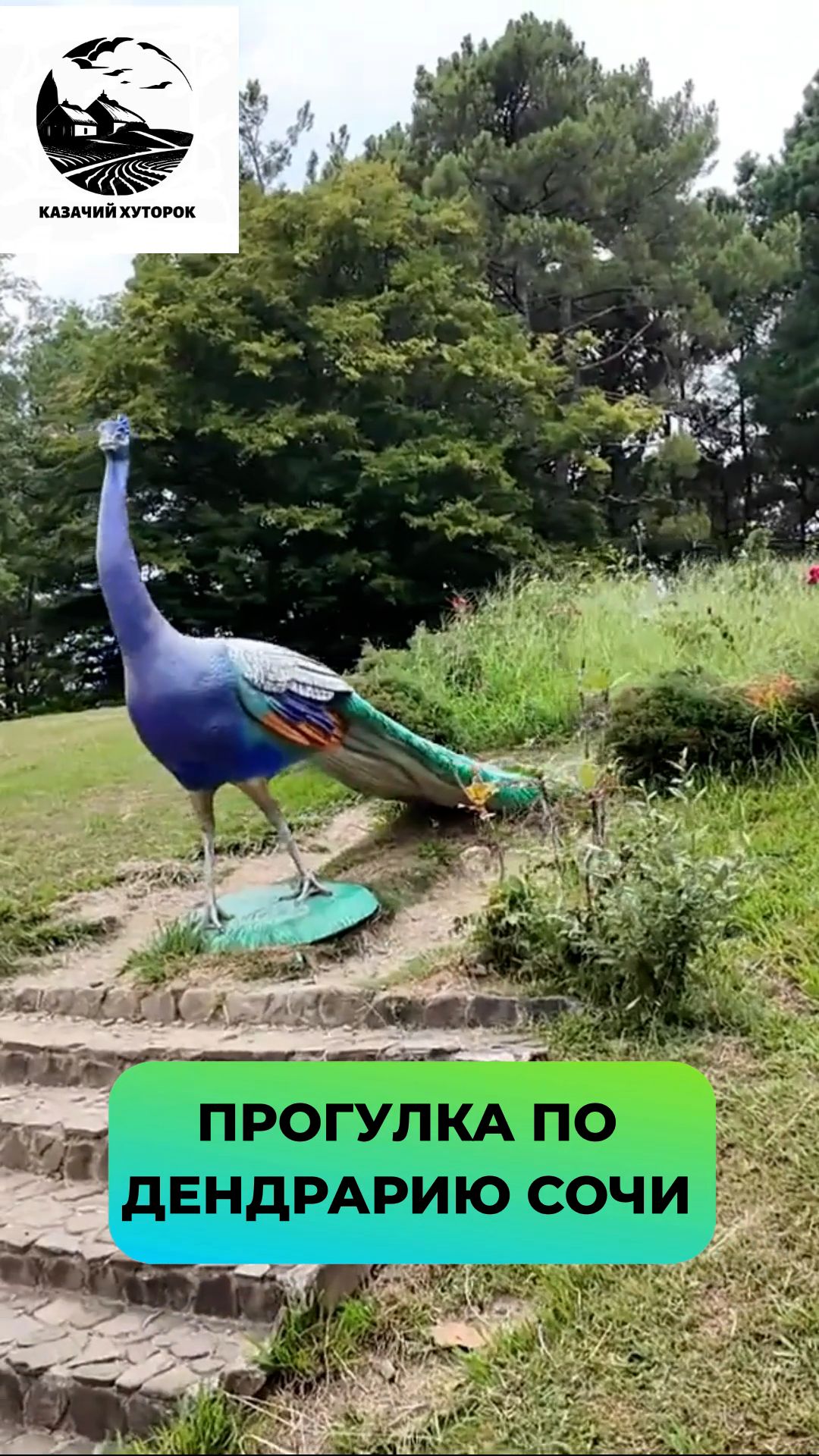 Дети