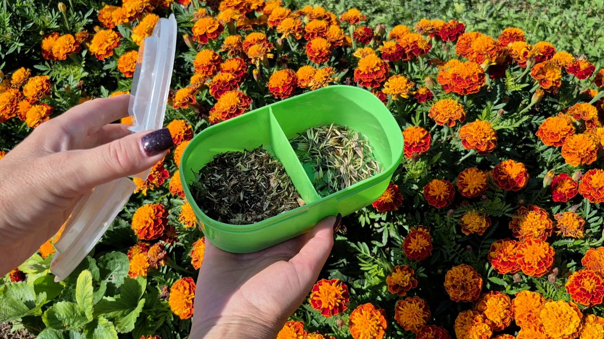Деревня!🍓🧅🥦
