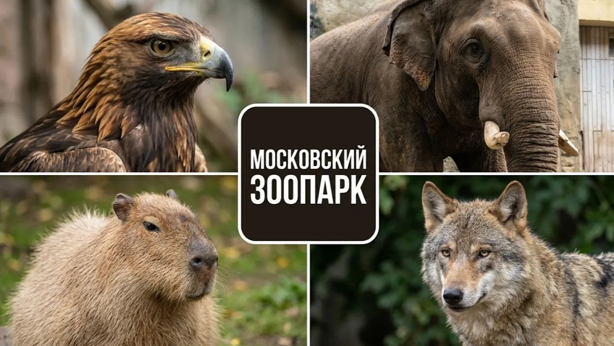 Разное