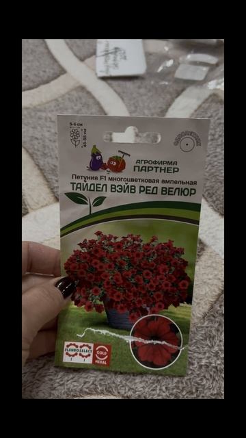 Рассада