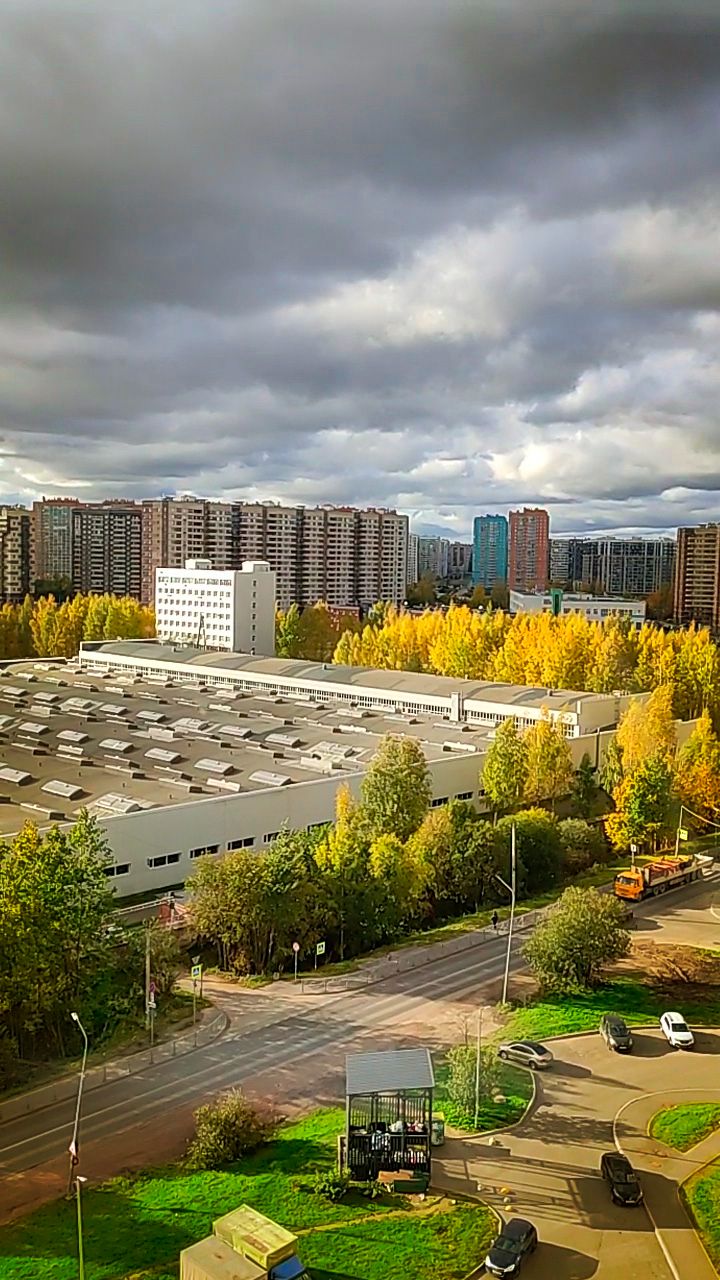 Иллюстрации
