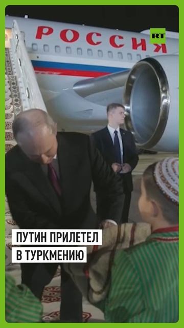 шоRTы