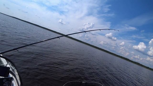 Летняя рыбалка