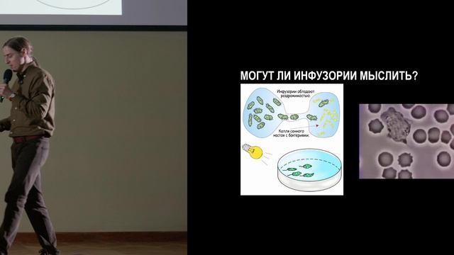 Фестиваль Рефлекс